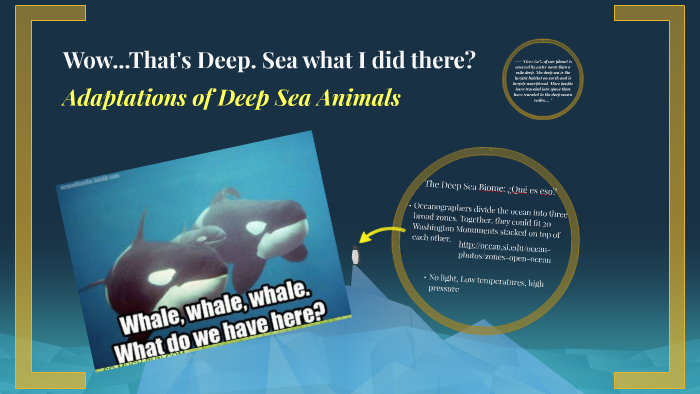 Adaptations of Deep Sea Animals by Erica Thomas on Prezi
