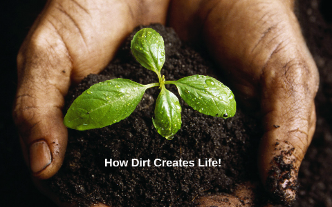 How Dirt Creates Life! by Jacob Esposito on Prezi