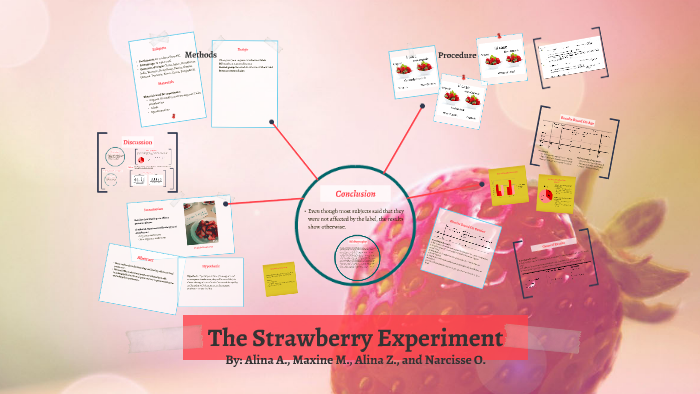 The Strawberry Experiment by n o on Prezi