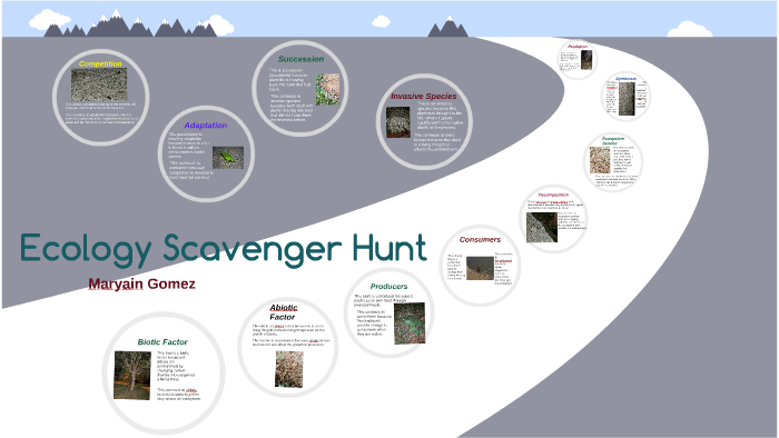 Ecology Scavenger Hunt by Maryain Gomez on Prezi