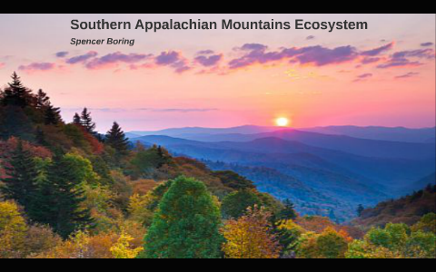 Appalachian Mountains Ecosystem by spencer boring on Prezi