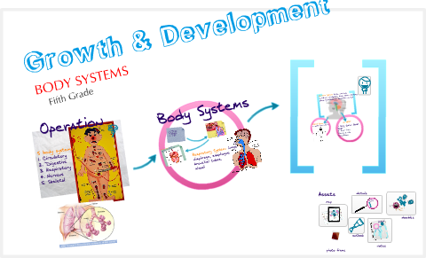 Growth and Development: Body Systems by Kelsey Mitchell on Prezi