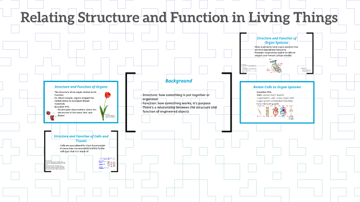 Relating Structure and Function in Living Things: HMH Mod B unit 2 ...