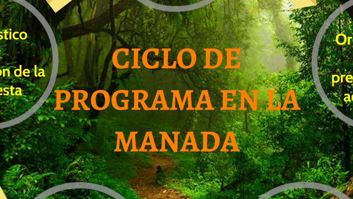 Ciclo De Programa Manada By Nahuel Piquemil On Prezi