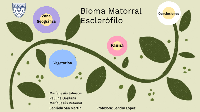 bioma matorral esclerófico by Ma Jesús jhonson on Prezi