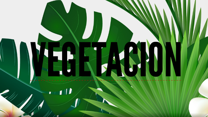 VEGETACION by sergio payan on Prezi
