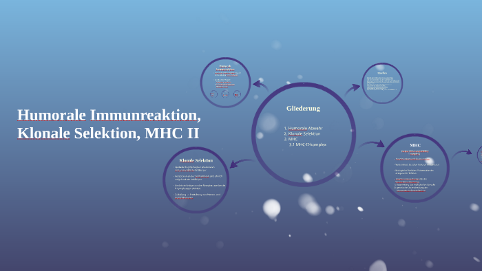 Humorale Abwehr, Klonale Selektion, MHC II by Marie Domscheit on Prezi