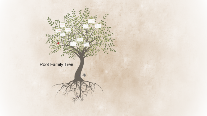 Root Family Tree by tahsin gazwi on Prezi