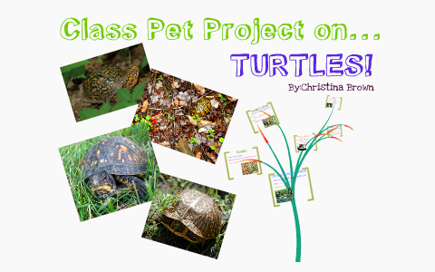 Class Pet Project by Christina Brown on Prezi