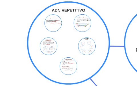 17 El ADN Repetitivo y clases de ADN satélite, Mutaciones y by Elvis ...