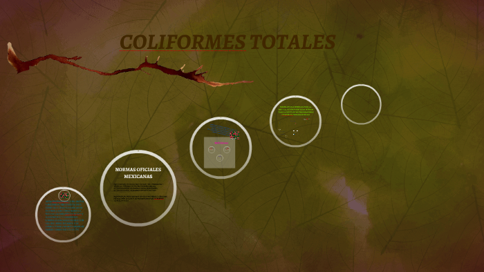 COLIFORMES TOTALES by karen Rodriguez on Prezi