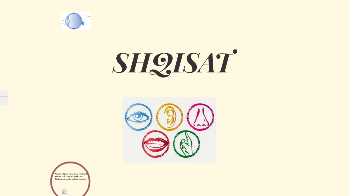 sistemi shqisor është pjesë e sistemit nervor by Yllka Halimi on Prezi