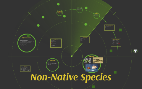 Non-Native Species by Manuel Ardita on Prezi