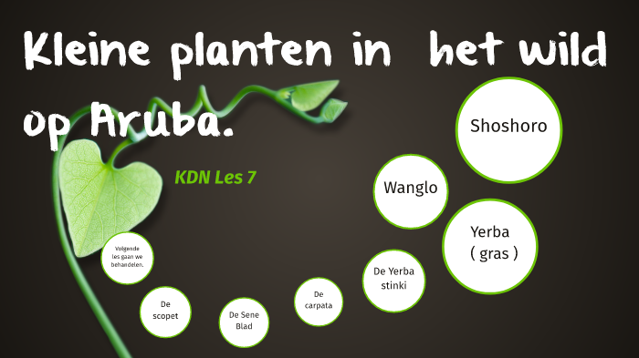 Les 7 kleine planten in het wild op Aruba by Shindy Oduber on Prezi