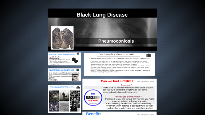 black lungs disease by Silvia De Leon on Prezi