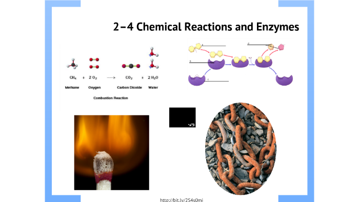 Biology Chapter 2-4 Reactions and Enzymes by Jane Constantino on Prezi