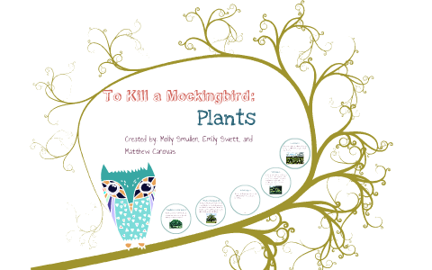 To Kill a Mockingbird: Plants by Rebecca White on Prezi