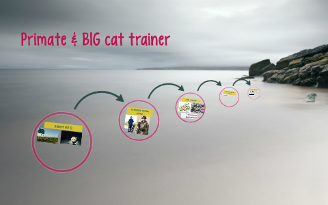Primate & BIG cat trainer by sydnie fizzy on Prezi