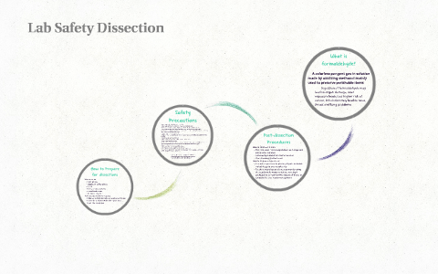 Lab Safety Dissection by Hailey Fuentes