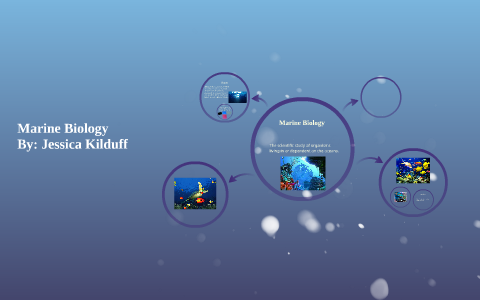 Sea Life by Jessica Kilduff on Prezi