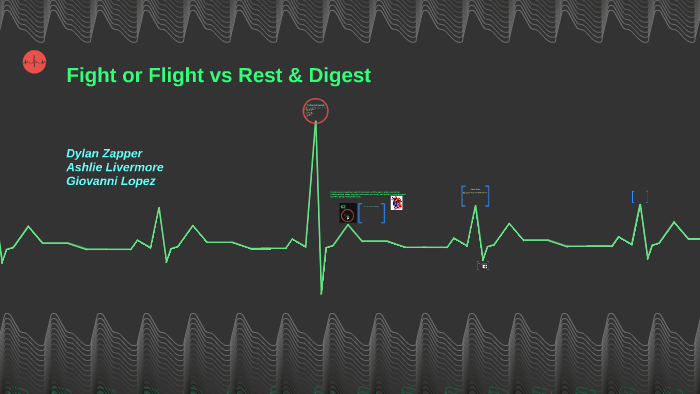 Fight or Flight vs Rest & Digest by Dylan Zapper on Prezi