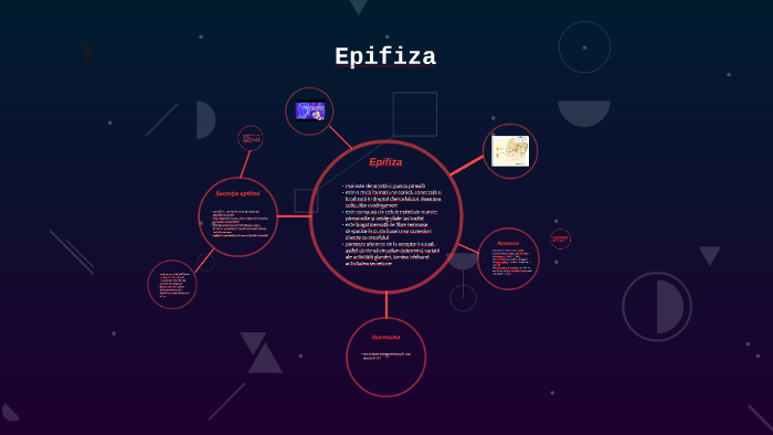 Epifiza by Georgiana Alina on Prezi