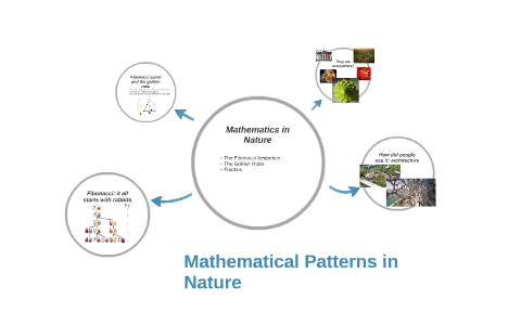 Mathematical Patterns in Nature by Chiara Decaroli on Prezi