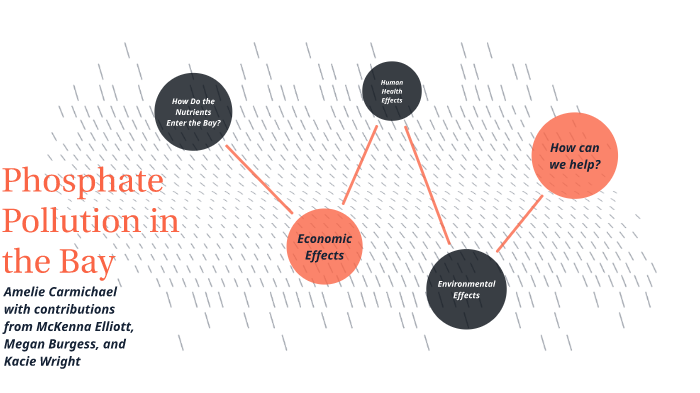 Phosphate Pollution by Amelie Carmichael on Prezi
