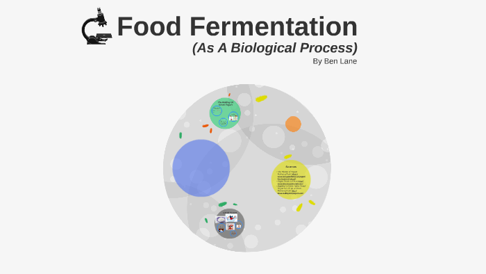 Food Fermentation by Ben Lane on Prezi