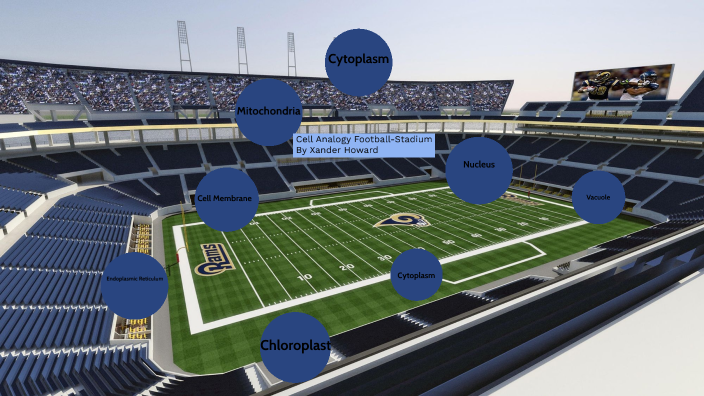 Cell Analogy Football-Stadium by Xander Howard on Prezi