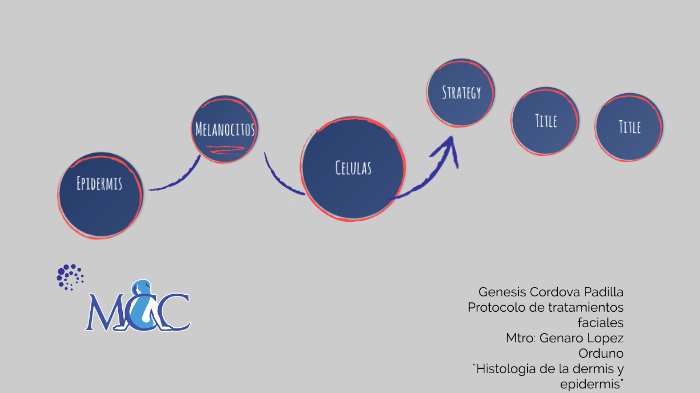 Histología de la Epidermis y Dermis by Genesis Cordova on Prezi