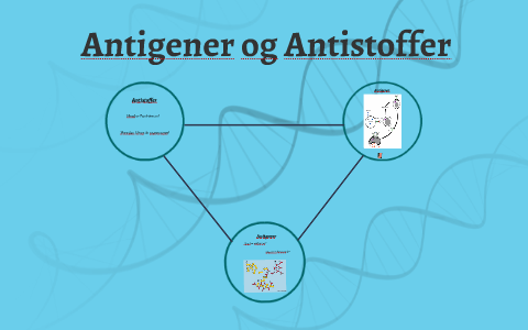 Antigener og antistoffer by Michelle Nilsson on Prezi