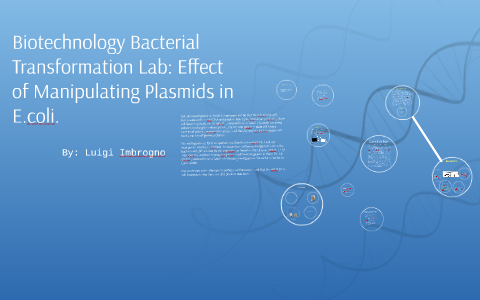 Biotechnology Bacterial Transformation Lab by Luigi Imbrogno on Prezi