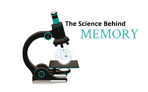 The Science Behind Memory by Marina Michaud on Prezi