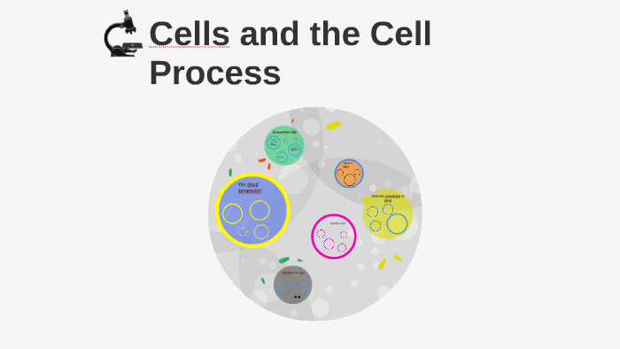 Cells and the Cell Process by Ella Stipe on Prezi