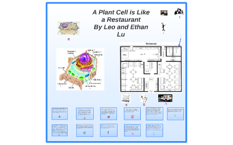A Plant Cell is Like a Restaurant by Ethan Lu Lu on Prezi