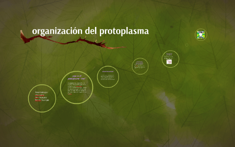 organizacion del protoplasma vivo by lely garcia on Prezi
