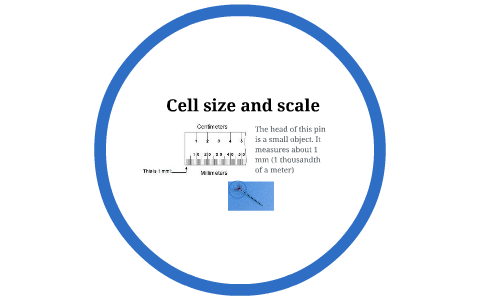 Cell size and scale by Laura Fischer Walter on Prezi