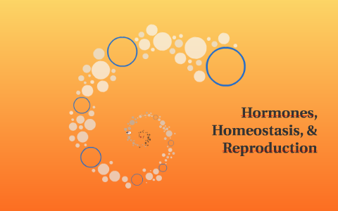 Hormones, Homeostasis, & Reproduction by Stefano A' De Lima on Prezi