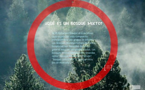 BOSQUE MIXTO by David MH on Prezi