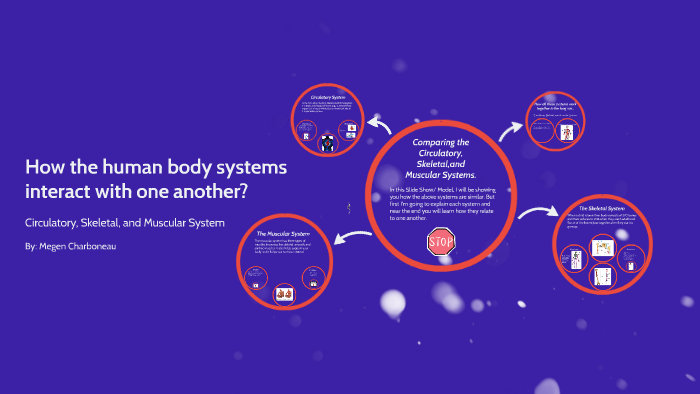 How the human body systems interact with one another? by megen ...