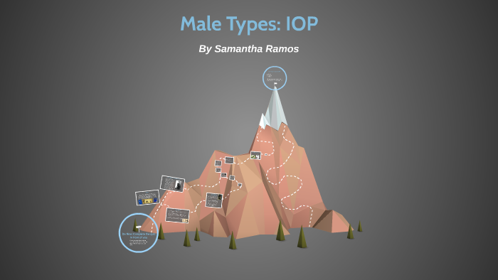 Male Types: IOP by Samantha Ramos on Prezi