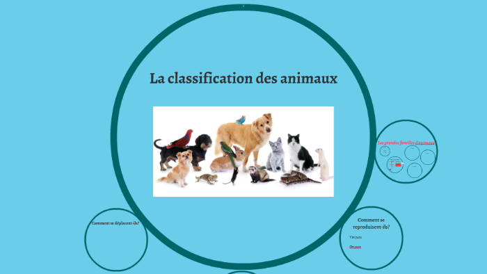 La classification des animaux by Stephanie Ruest on Prezi