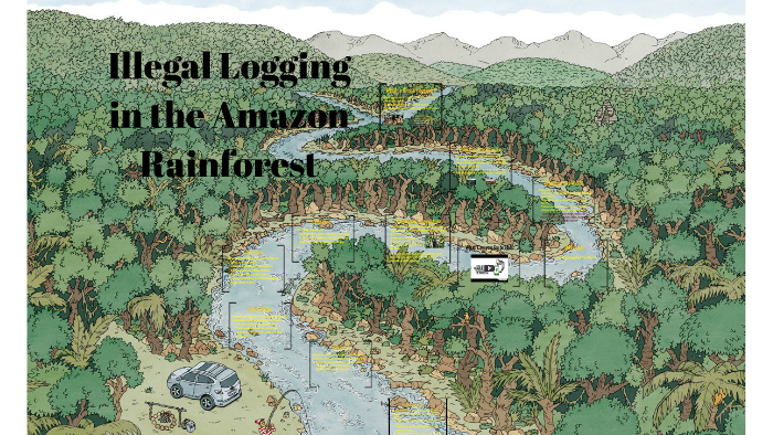 Illegal Logging in the Amazon Rainforest by sam hauman on Prezi