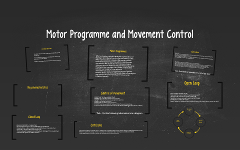 Motor Programmes and movement control by Jo Somers on Prezi