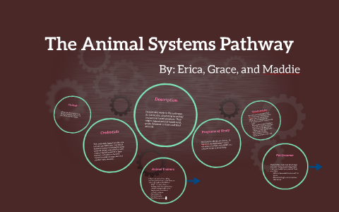 Animal Systems Pathway by Erica Becker on Prezi
