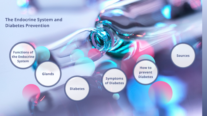 The Endocrine System and Diabetes Prevention by Kennedy Ogden on Prezi