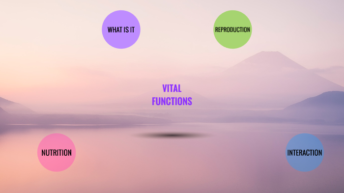 Main Map Vital funtions by Sofia Quiroga Suarez on Prezi