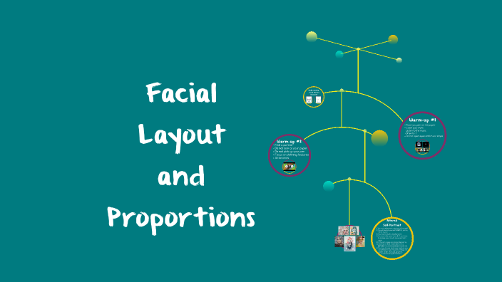 Facial Layout and Proportions by Elizabeth Dyer on Prezi