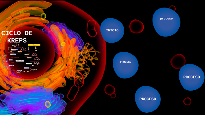 ciclo de kreps by mika salazar on Prezi